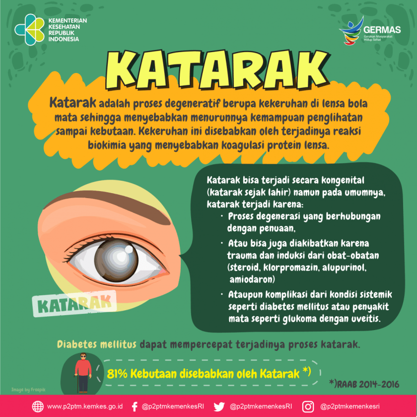 Belajar Sehat – Think Big, Start Small, Act Now